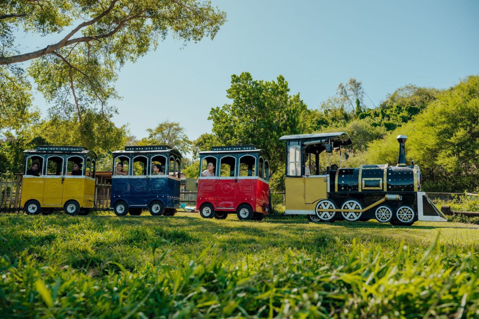 Petting Farm Train - Casela